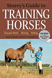 Urban Equestrian – Riding and writing